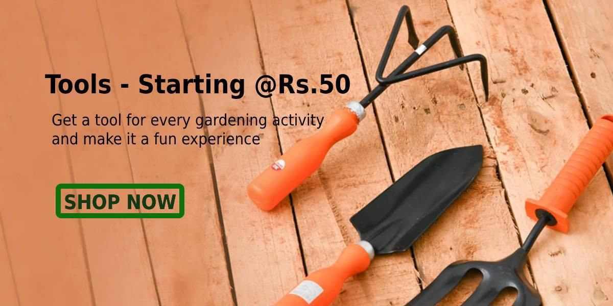 Agromart Nepal | #1 Agricultural Marketplace In Nepal